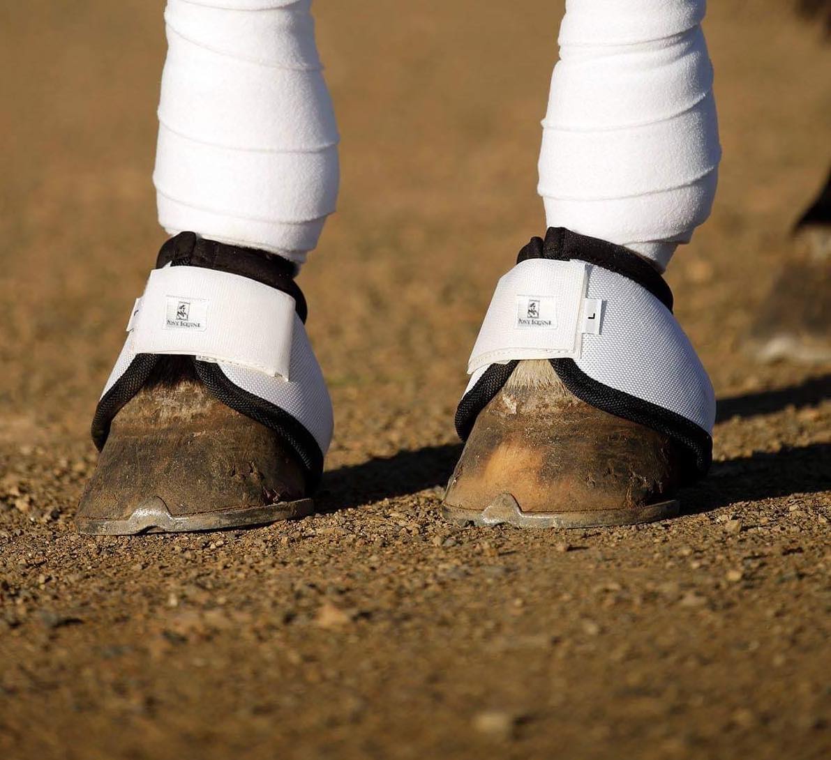 BELL BOOTS – Pony Equine