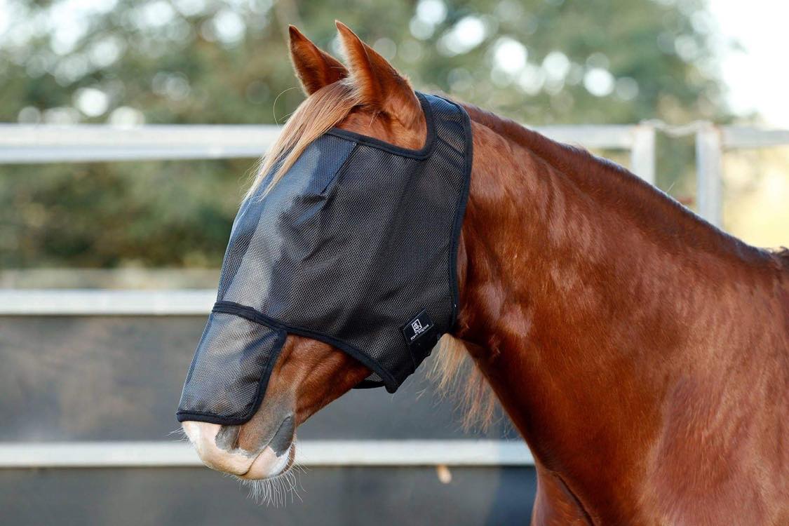 *SALE* FLY MASKS (currently unavailable) – Pony Equine